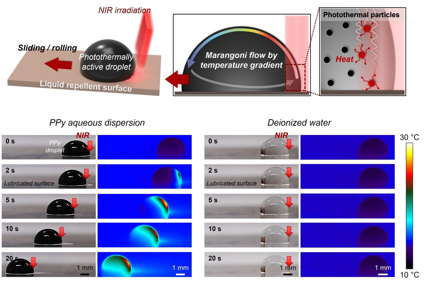 Chung-Ang University researchers pioneer new way to manipulate ...